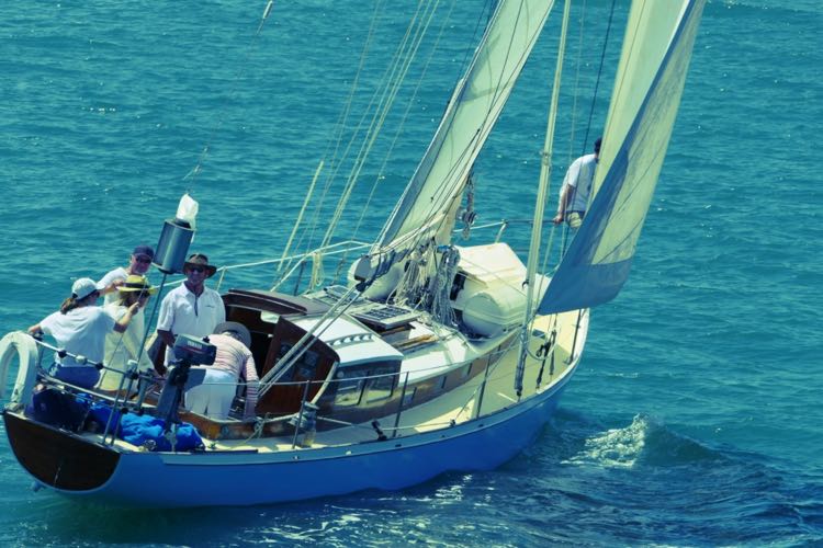 Climb Rangitoto Island-A summer series #5 - Blog the Globe